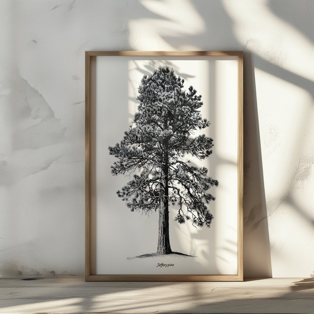 Jeffery Pine Wall Art Pine Tree Wall Decor Rustic Tree Art Sketch ...