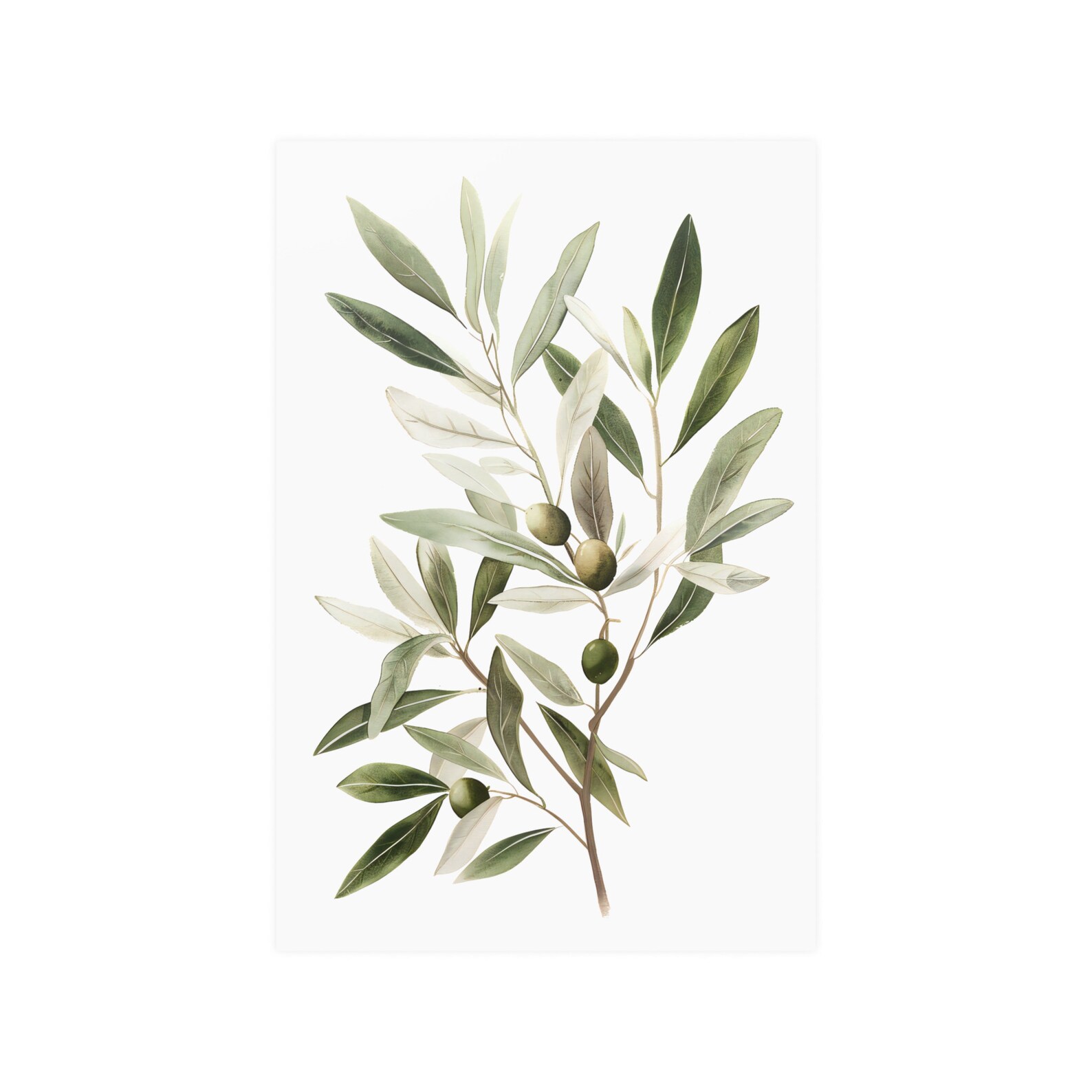 Olive Branch Print Greenery Wall Art Olive Branch Wall Decor Olive ...