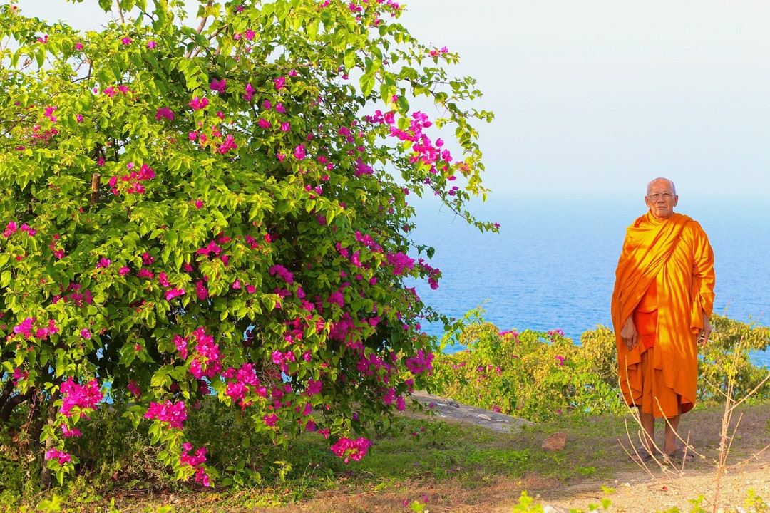 Thailand - Buddhist Monk & Flowers Wrapped Canvas - Etsy