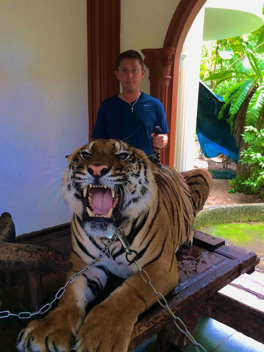 Thailand - Yep, That's A Real Tiger Wrapped Canvas - Etsy