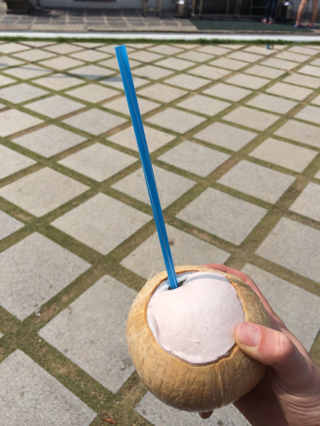 Thailand - Coconut Drink Wrapped Canvas - Etsy