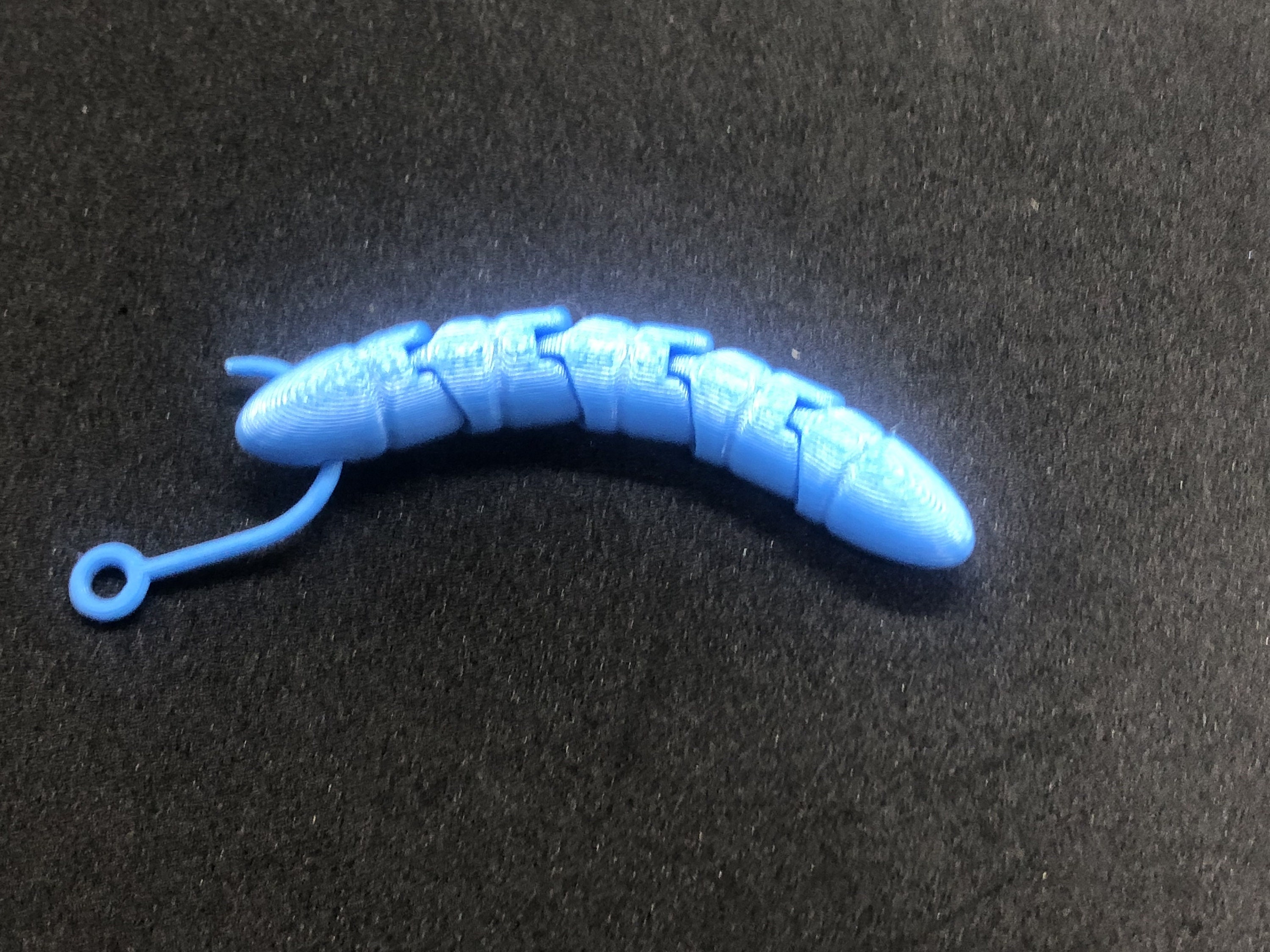 Articulated Worm on a Hook Flexible Worm Toy 3D Printed Worm Keychain ...