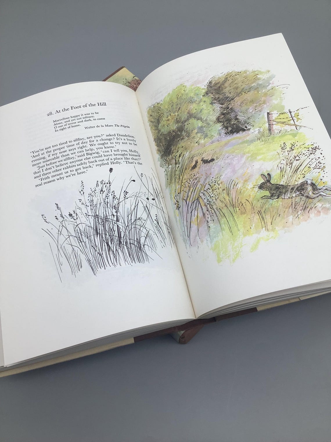Watership Down the Illustrated Edition - Etsy