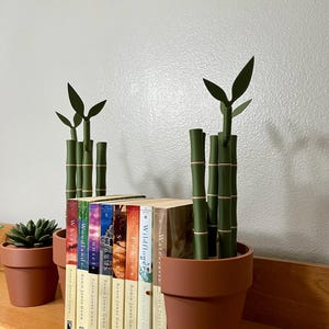 Functional Plants - Etsy