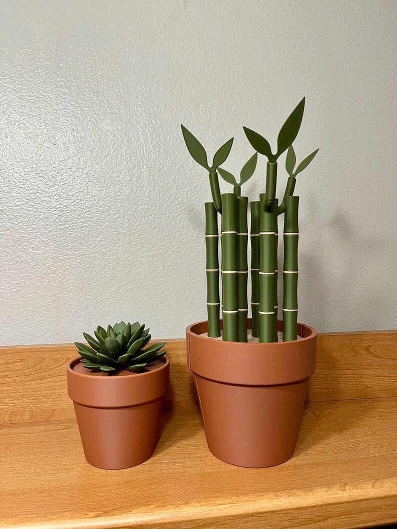 Functional Plants - Etsy