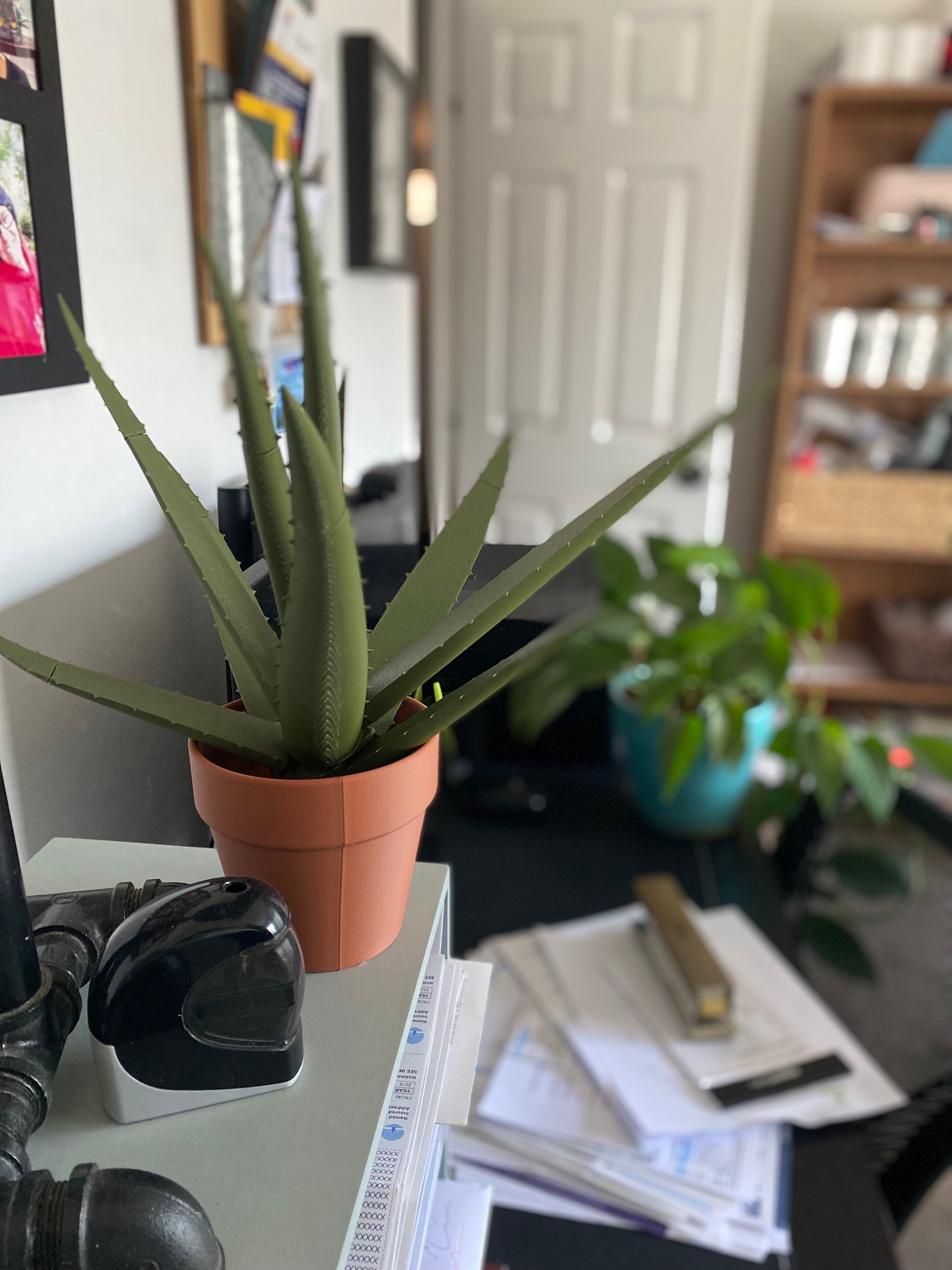 Functional Plants - Etsy