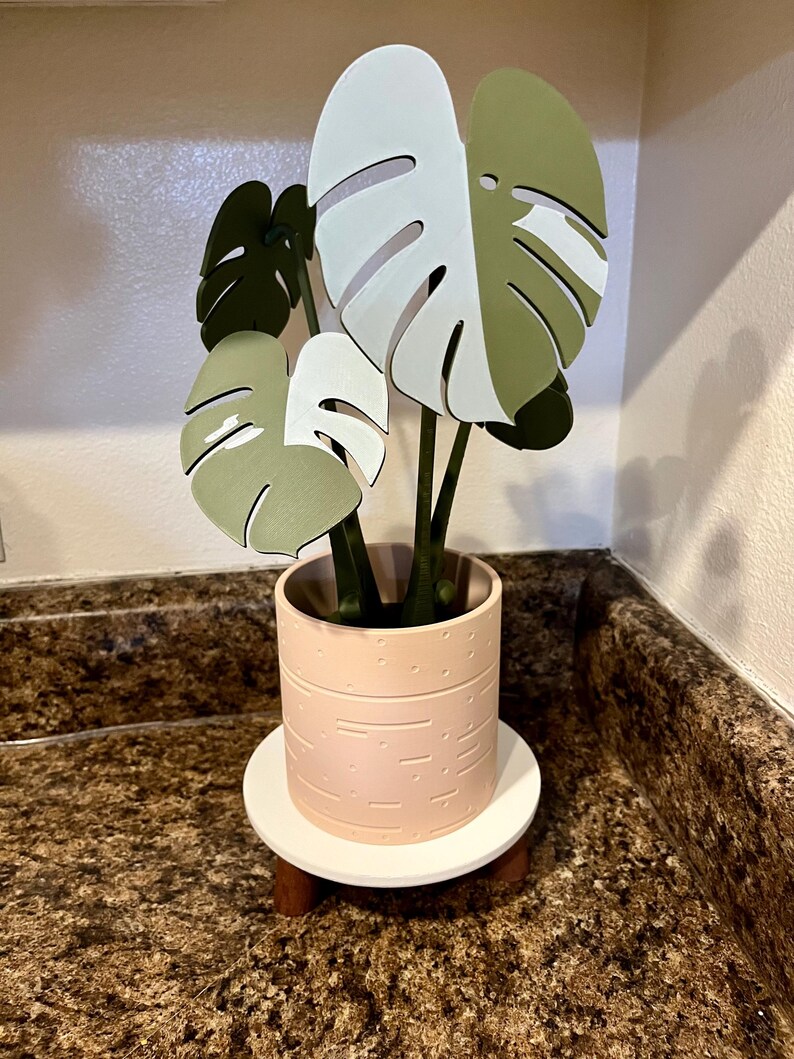 Functional Plants - Etsy