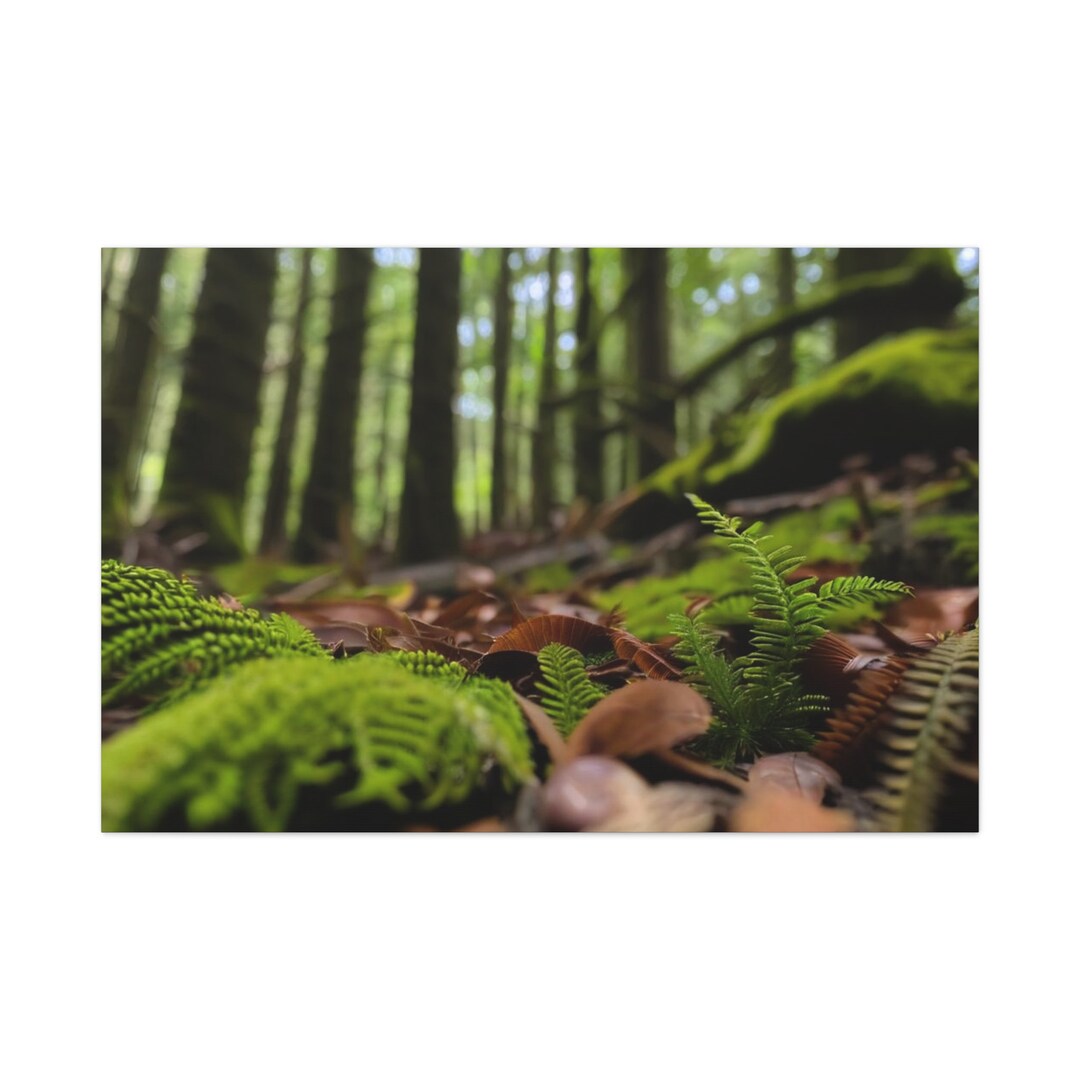 Wall Art Forest Floor, Matte Canvas, Stretched, 1.25 - Etsy Canada