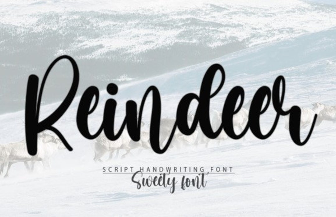 Reindeer Font, Display Font, Calligraphy Font, Handwritten Font, Retro ...