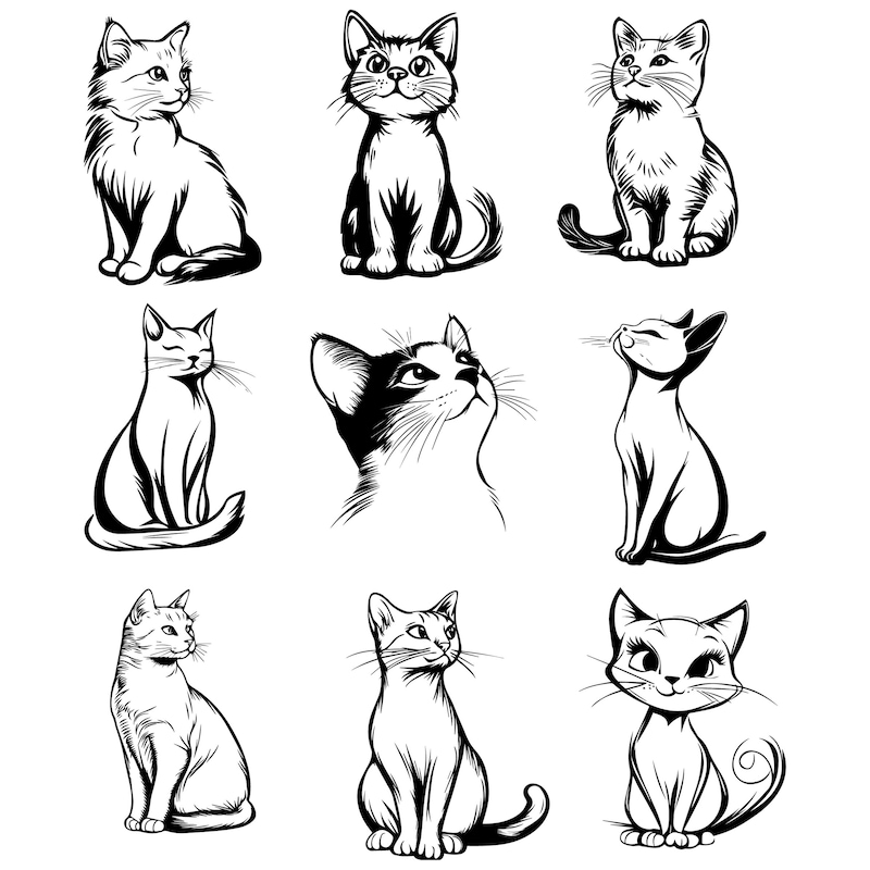 Cat Svg - Etsy