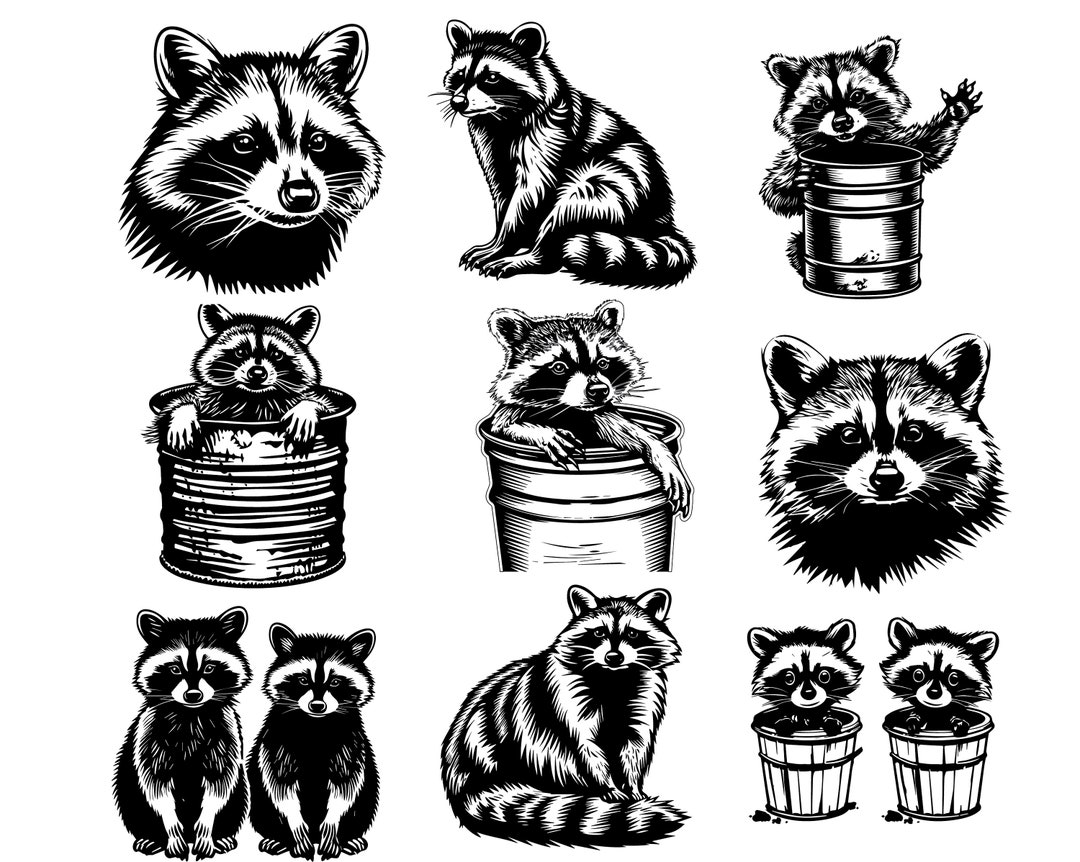 Raccoon SVG, Raccoon Clipart, Raccoon Cut Files, Raccoon Silhouette ...