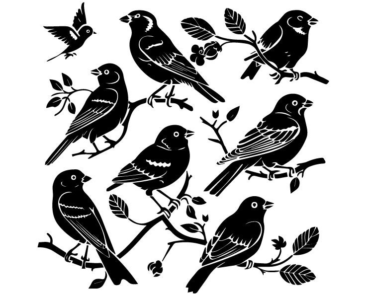 Bird SVG, Bird Svg Bundle, Flying Bird Svg, Animal Svg, Bird Clip Art ...