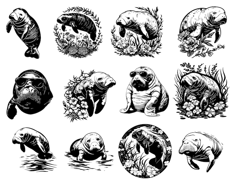 Manatee SVG Bundle, Digital Download, Manatee SVG, Manatee PNG, Manatee ...