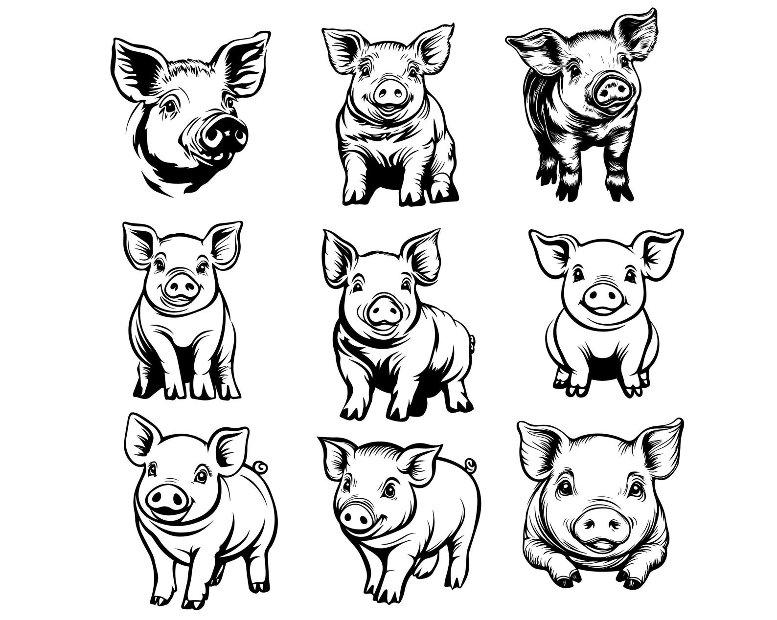 Pig SVG Bundle, Pig PNG Bundle, Pig Clipart, Pig SVG Cut Files for ...