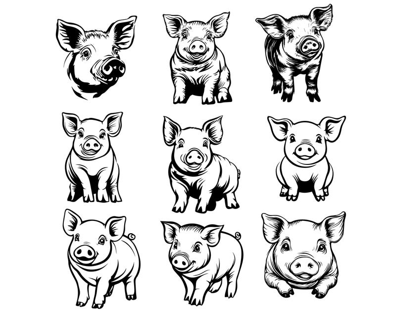 Pig SVG Bundle, Pig PNG Bundle, Pig Clipart, Pig SVG Cut Files for ...