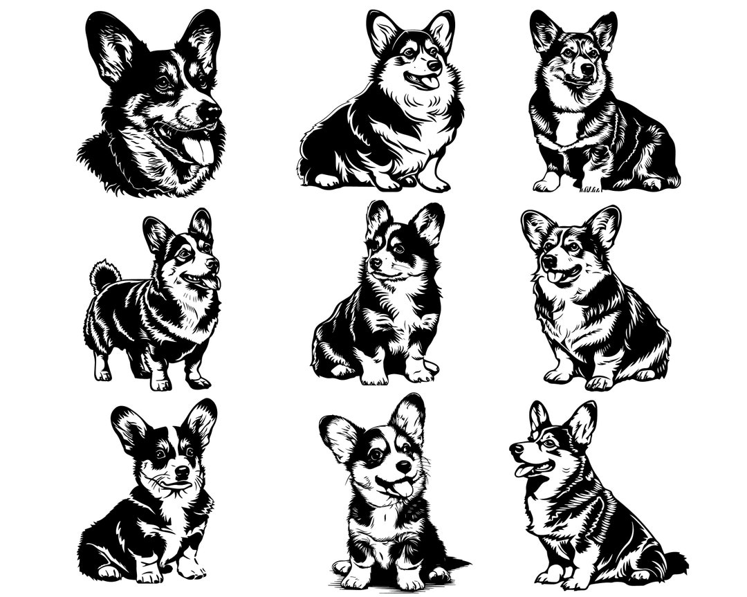 Corgi SVG, Dog Clipart, Corgi PNG, Moth SVG Bundle, Corgi Line Drawing ...