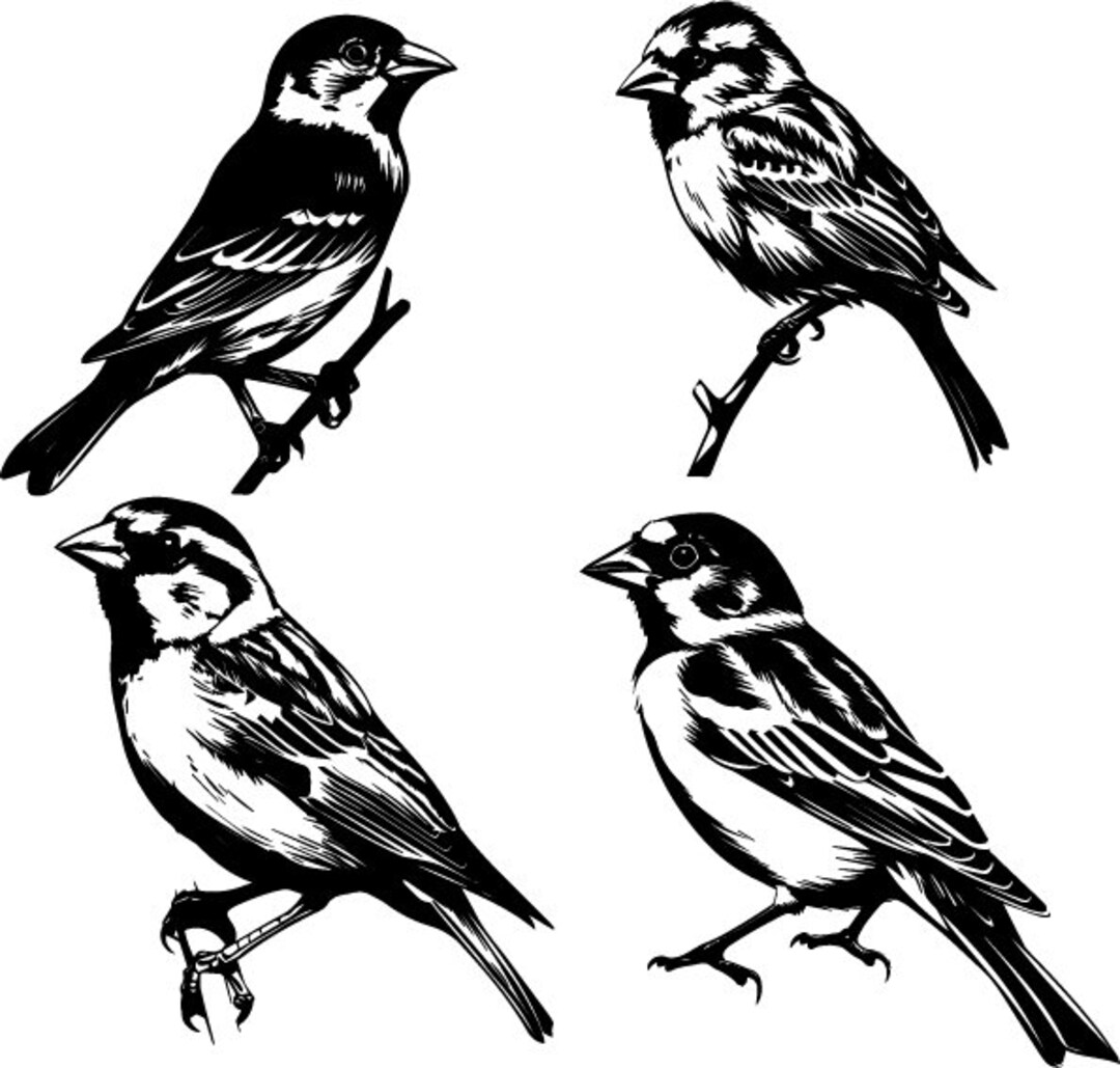 Bird SVG, Bird SVG Bundle, Flying Bird SVG, Animal Svg, Bird Clip Art ...