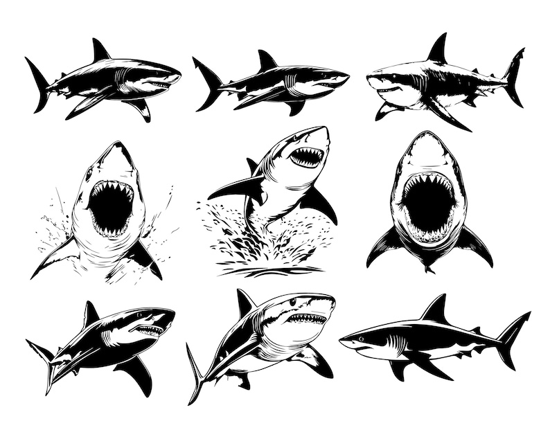 Shark Svg Bundle, Shark Svg Png, Shark Silhouette, Shark Bundle Svg ...