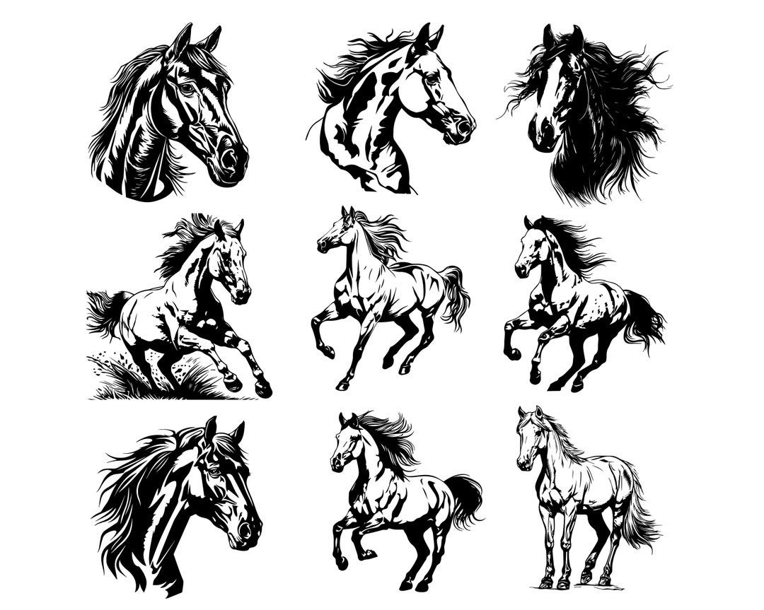 Horse Vector Design Bundle, Instant Download PNG, SVG, Commercial Use ...