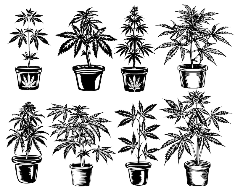 Weed Plant Svg,stoner Svg Bundle, Marijuana Plant Svg, Weed Plant ...