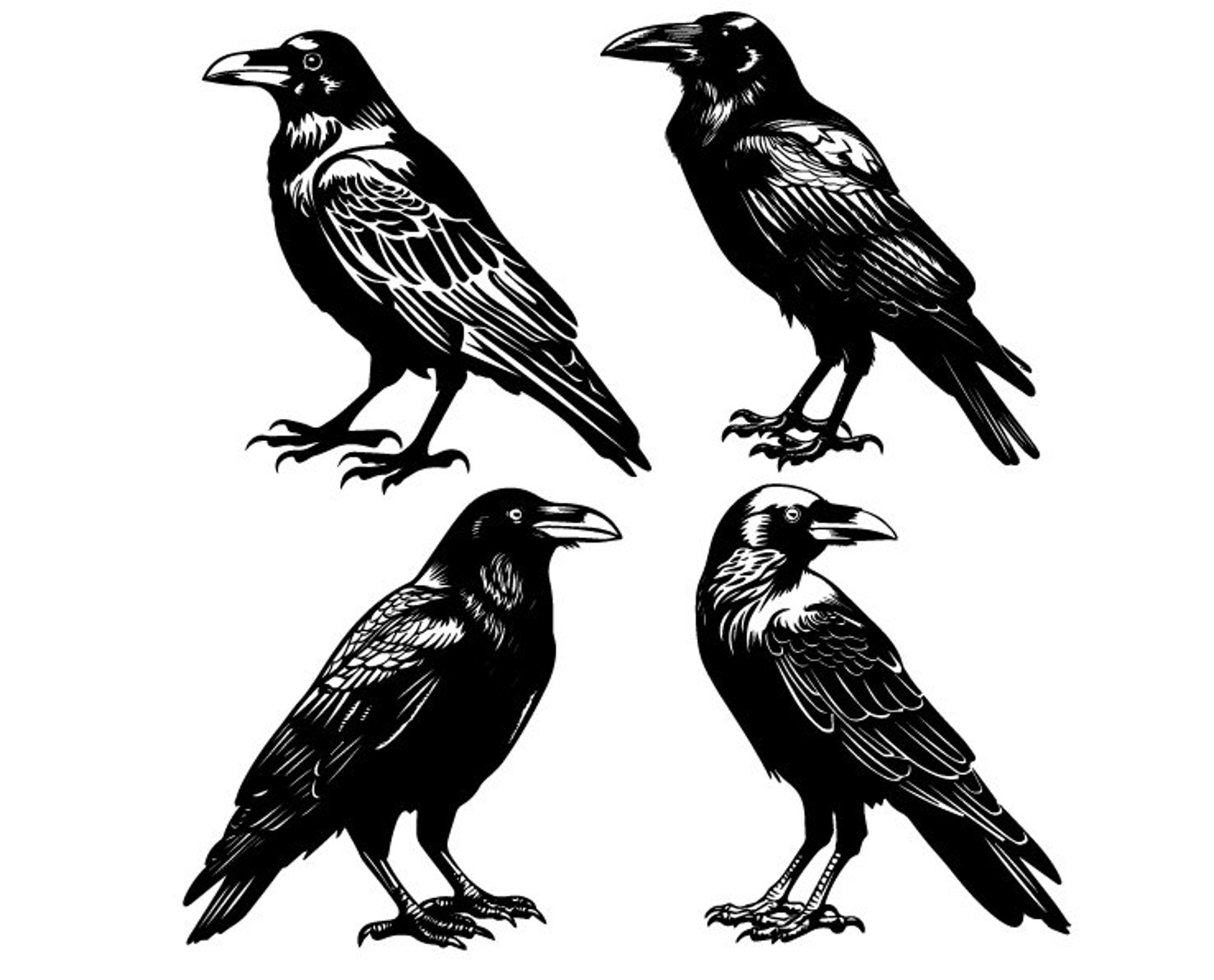 CROW SVG Bundle, Crow SVG, Instant Download, Svg Files, Files for ...