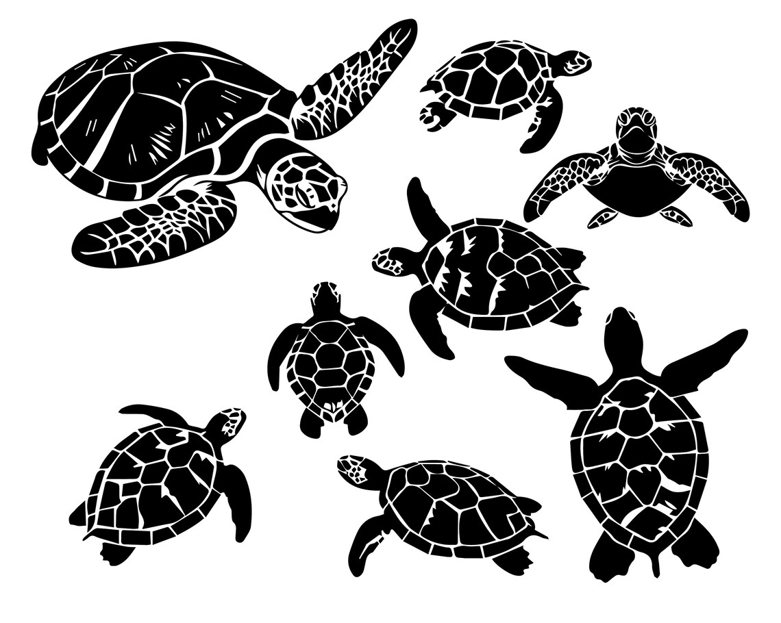 Turtle Svg Bundle, Cute Sea Turtle, Turtle Svg, Sea Turtle Svg, Baby ...