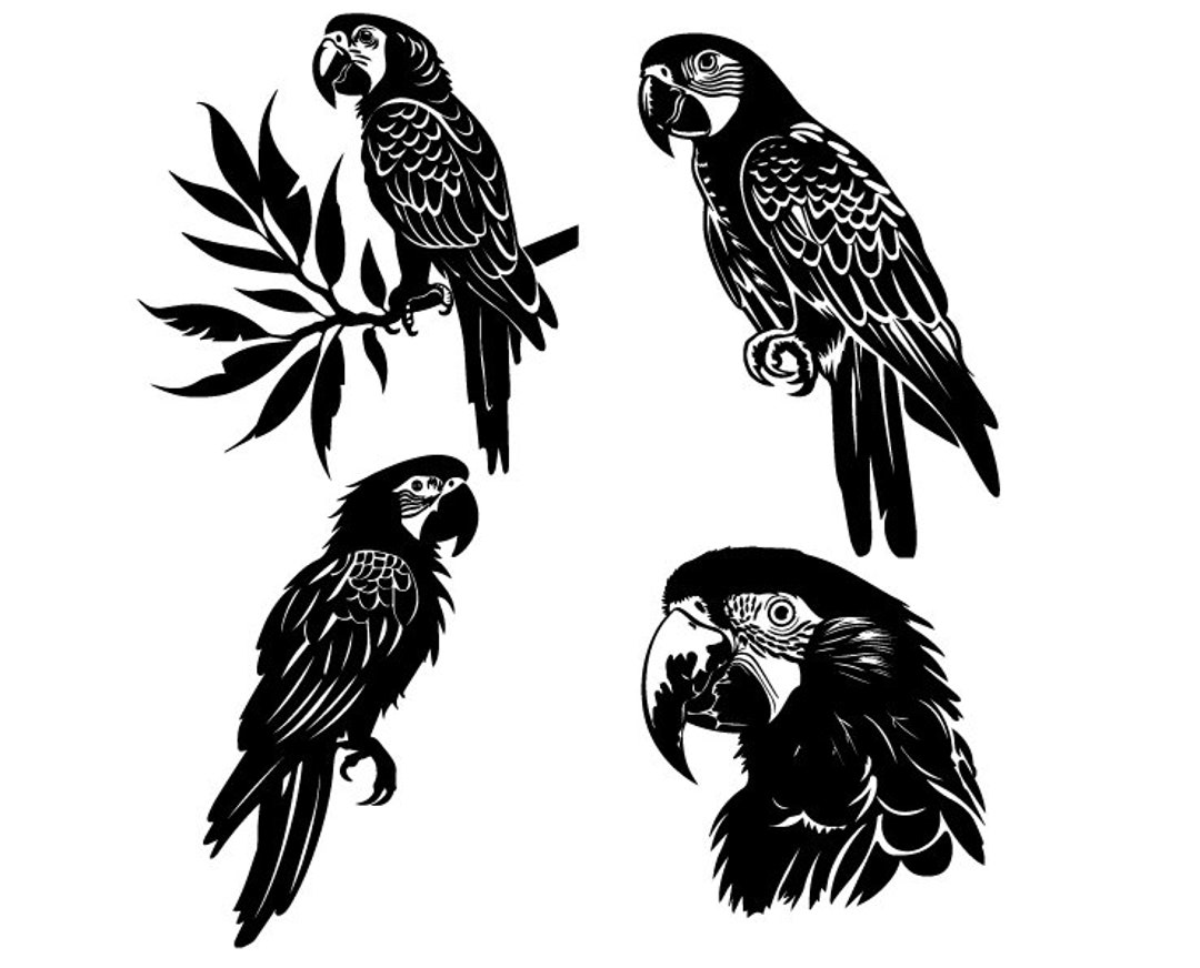 PARROT SVG BUNDLE, Parrot Cut File, Bird Svg, Exotic Bird Svg, Parrot ...