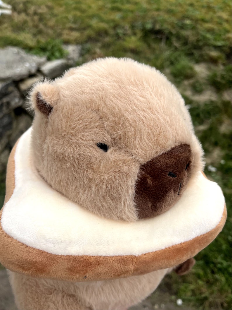 Cuddly Flower Plush, Bread Plush, Capybara Costume Plush, Stuffed Animal for Kids, Gift for Kids ...