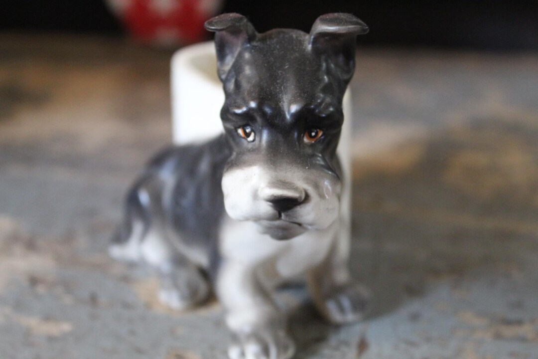 Vintage Schnauzer Planter – Grumpy Ceramic Dog Pot – Mid-century Pup ...