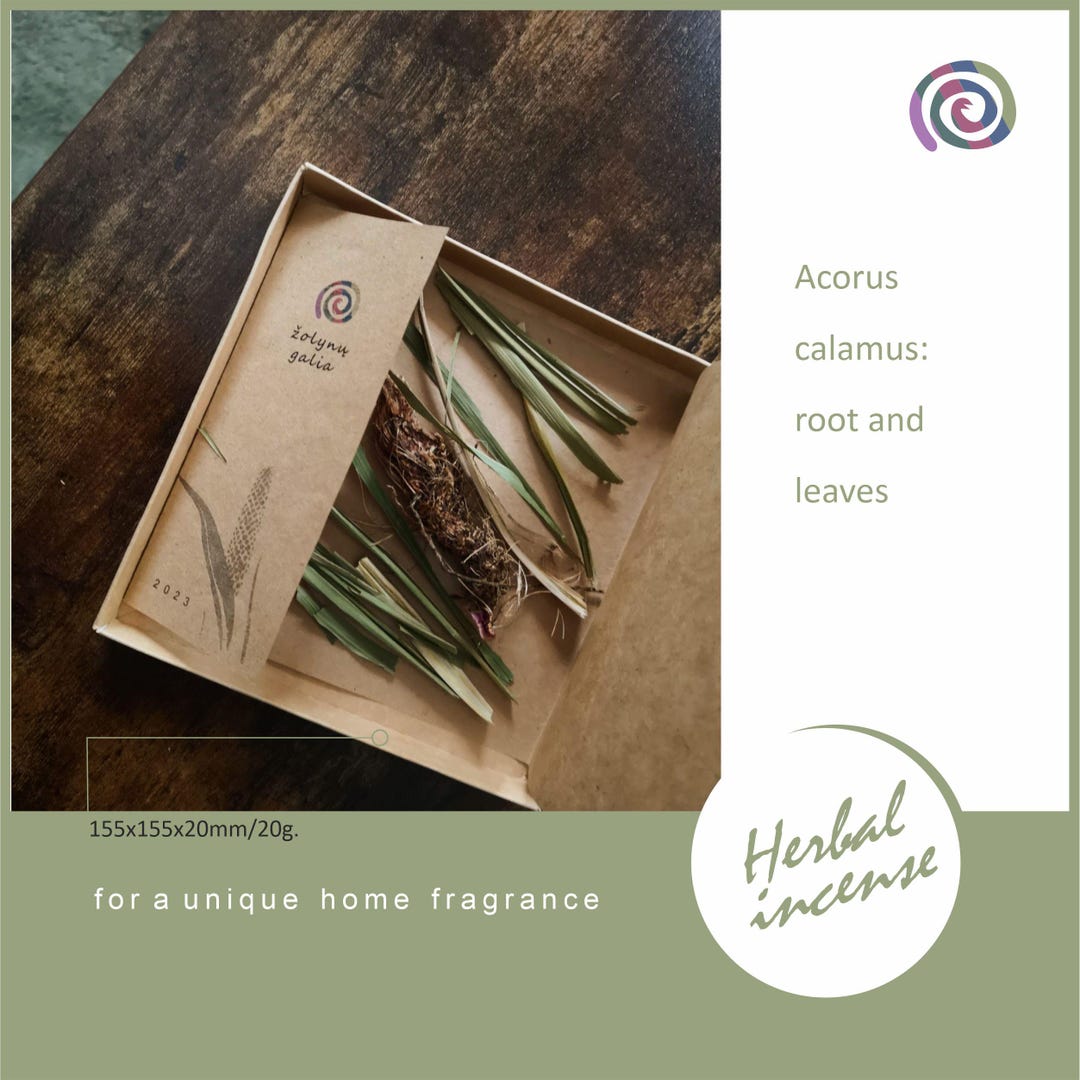 Acorus Calamus Root & Leaf Herbal Incense Natural Botanical Fragrance ...