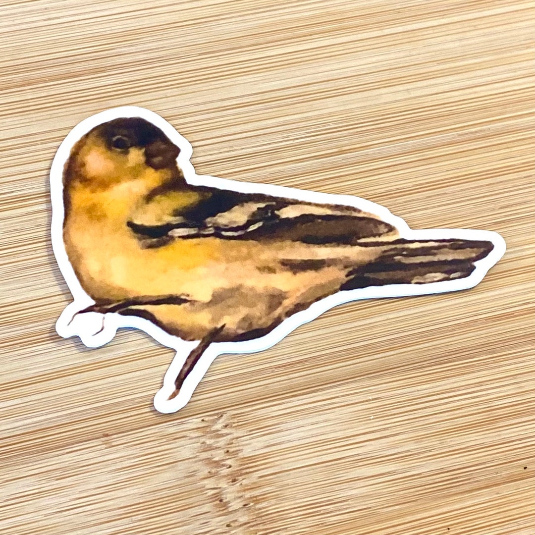 American Goldfinch Sticker - Etsy