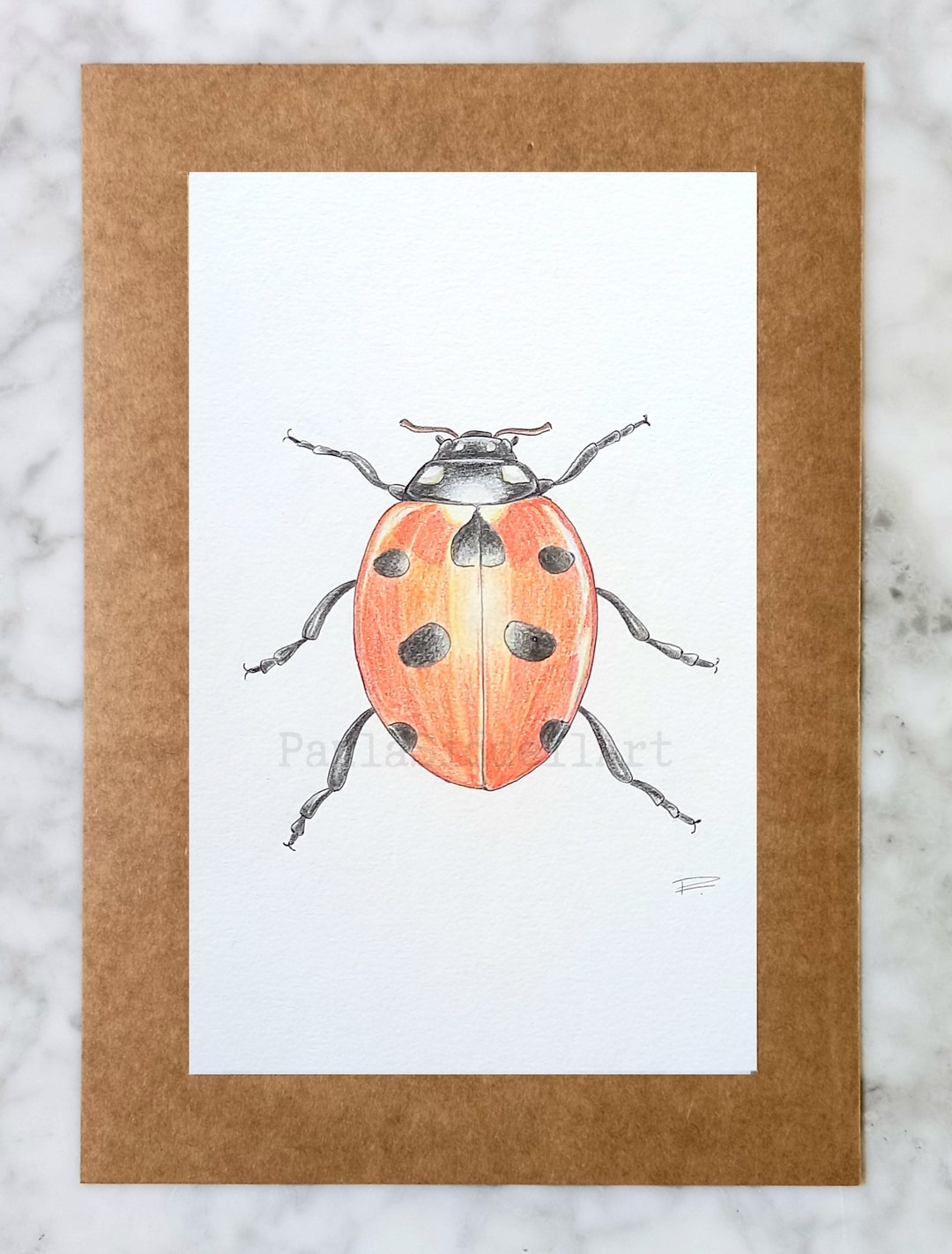 Ladybird Print, Ladybug Print, Insect Art, Bug Art, A5 - Etsy