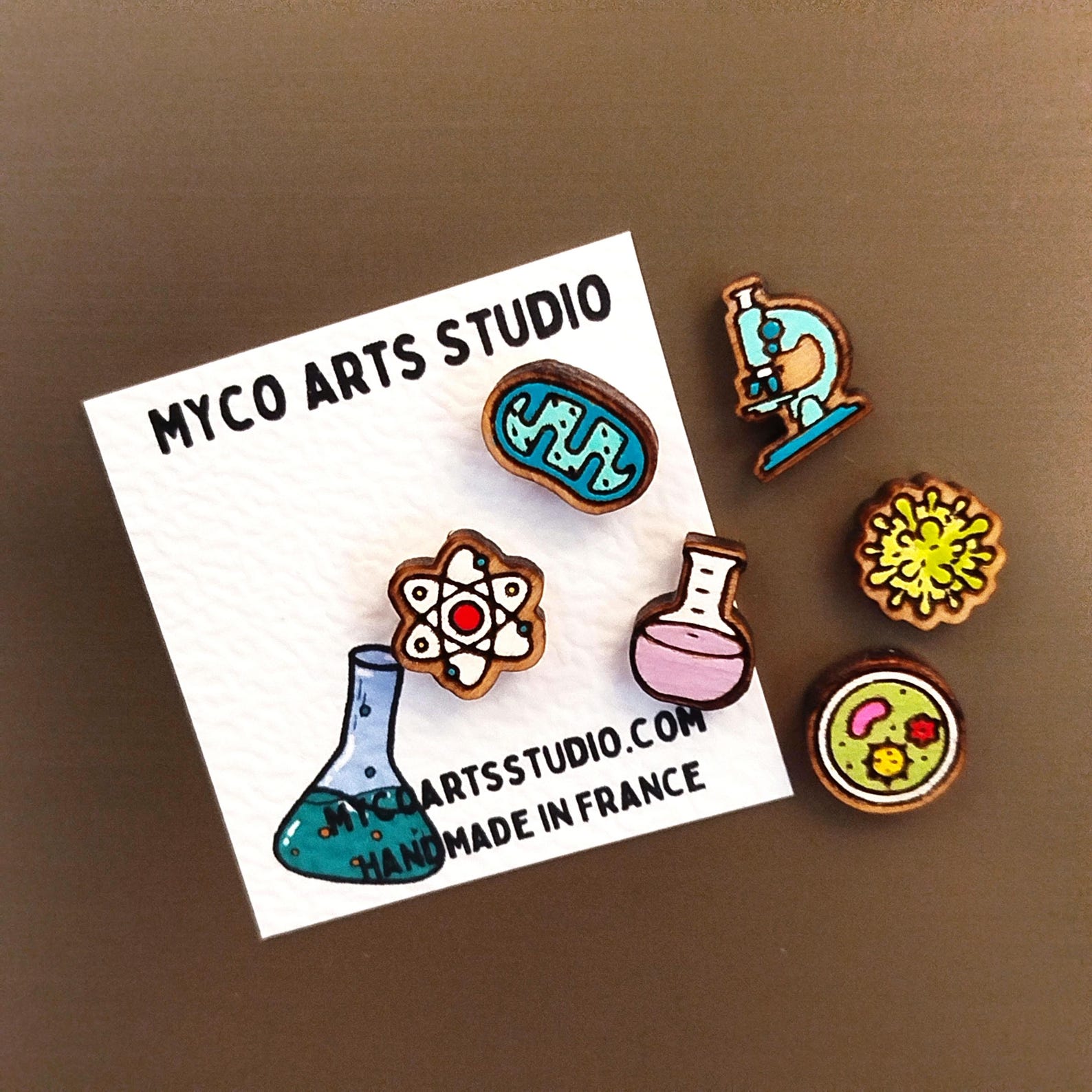 Set of 6 Science Theme Wooden Fridge Magnets, Wood STEM Magnets, Mini ...