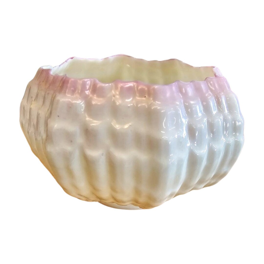 Antique Tridacna Pink Belleek Open Sugar Bowl, Unmarked - Etsy