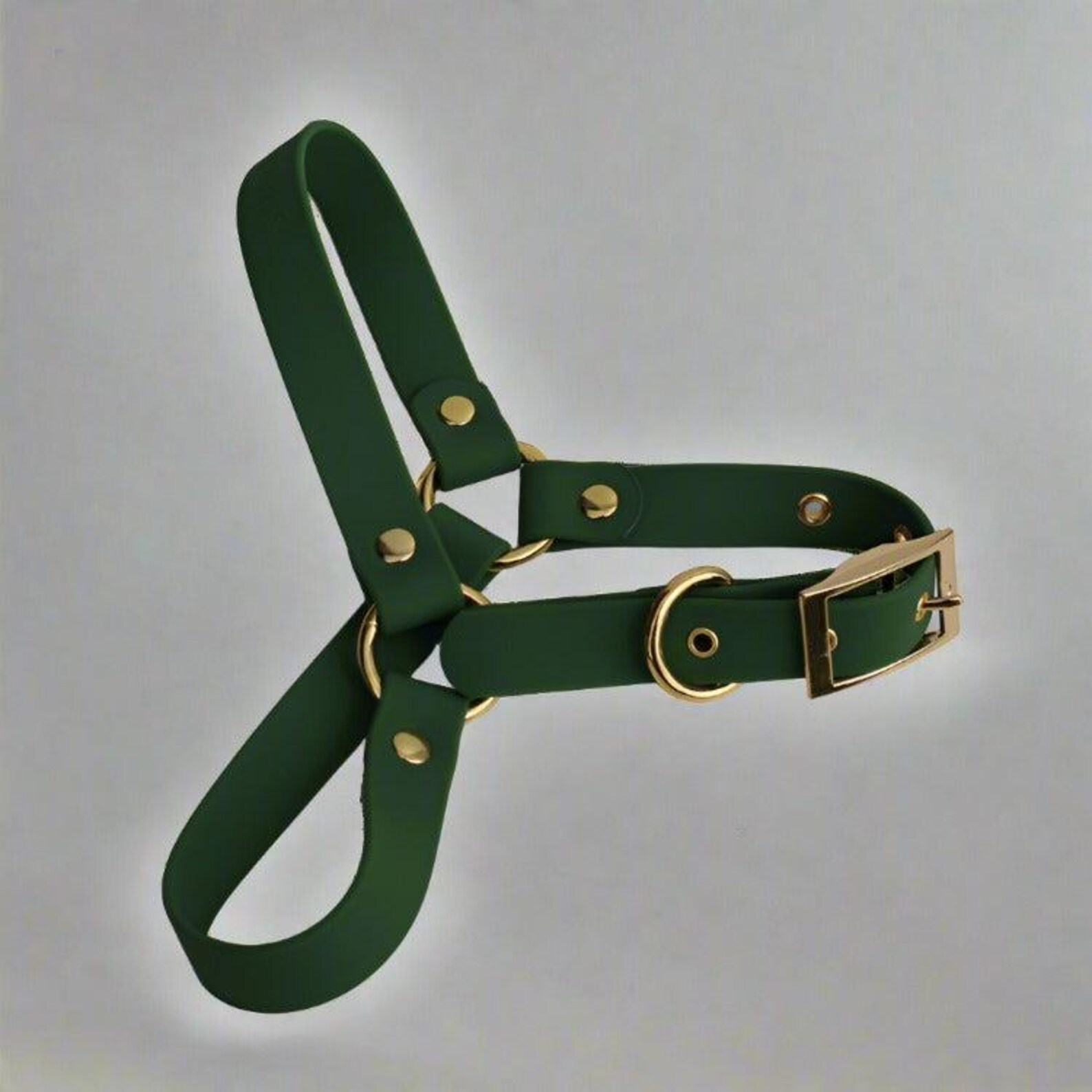 Biothane Dog Harness Step In - Etsy