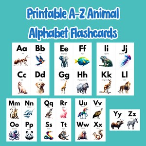 Printable A-Z Animal Alphabet Flashcards | Educational Preschool ...