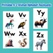 Printable A-Z Animal Alphabet Flashcards Educational Preschool Learning ...