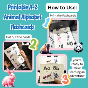 Printable A-Z Animal Alphabet Flashcards | Educational Preschool ...