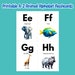 Printable A-Z Animal Alphabet Flashcards Educational Preschool Learning ...