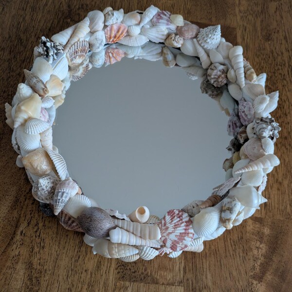 Seashell Mirror - Etsy