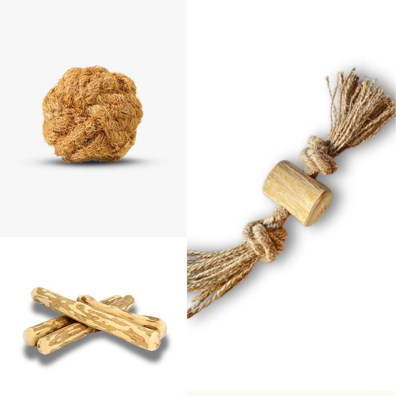 Chewing Stick - Etsy