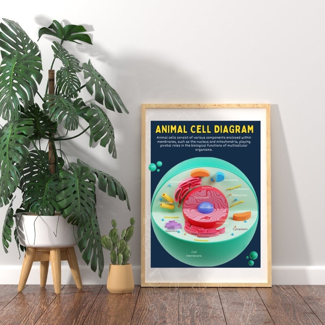 Animal Cell Poster Printable Science Art Wall Art Build an Animal Cell ...