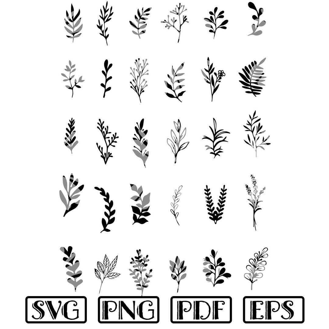 Foliage SVG Pack, Leaves and Flowers Vector Design File, Ferns and ...