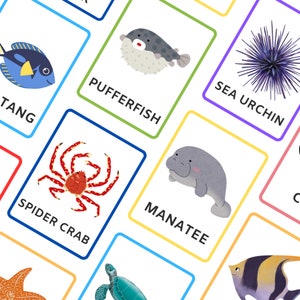 56 Printable Learning Sea Marine Animals Flashcards for Kids, Aquarium ...
