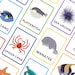 56 Printable Learning Sea Marine Animals Flashcards for Kids, Aquarium ...