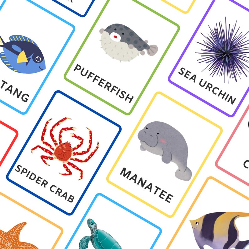 56 Printable Learning Sea Marine Animals Flashcards for Kids, Aquarium ...