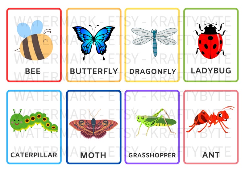 32 Printable Learning Insects Flashcards for Kids, Garden Hunting Game ...