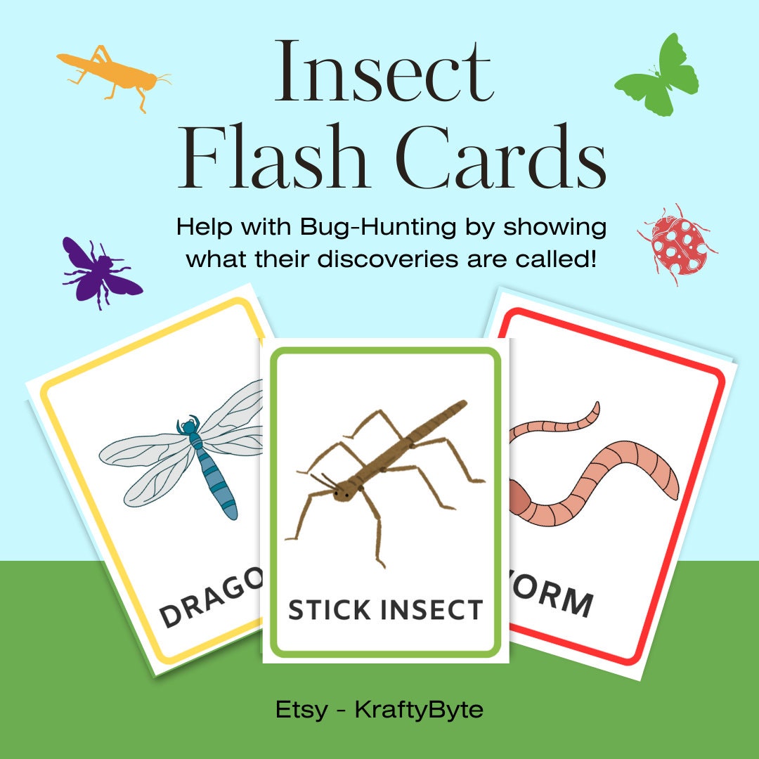 32 Printable Learning Insects Flashcards for Kids, Garden Hunting Game ...