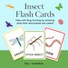 32 Printable Learning Insects Flashcards for Kids, Garden Hunting Game ...