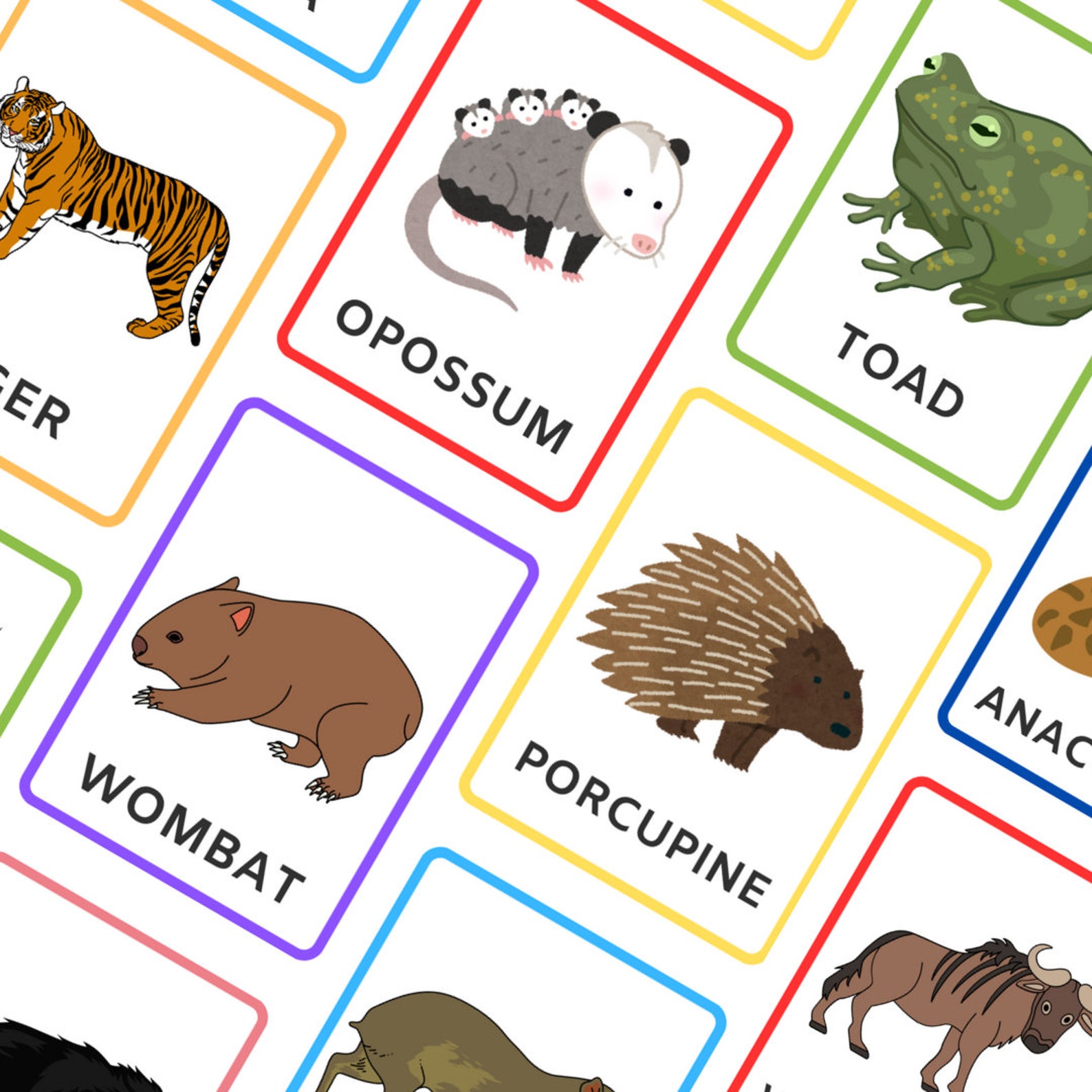 56 Printable Learning Wild Animals Flashcards for Kids, Zoo Hunting ...